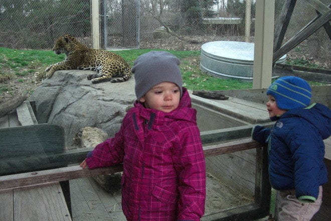 Stone Zoo is one of the very best things to do in Boston