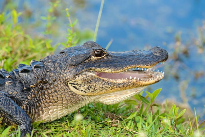 10 Dangerous Places in National Parks: Features Photo Gallery by 10Best.com