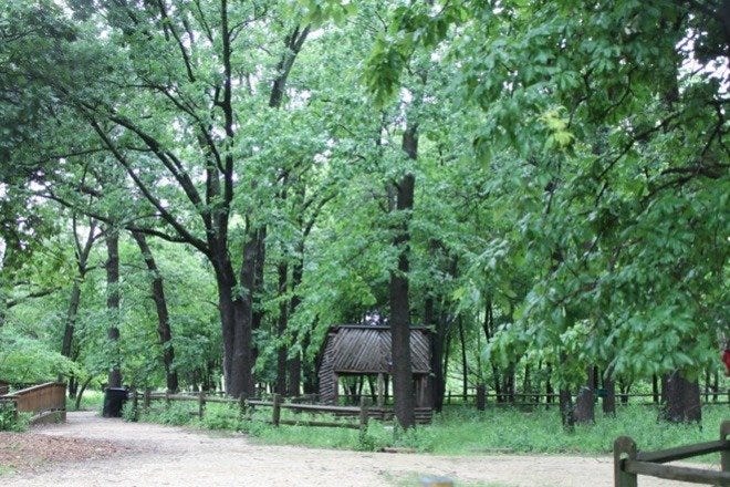 Are Dogs Allowed At North Park Nature Center
