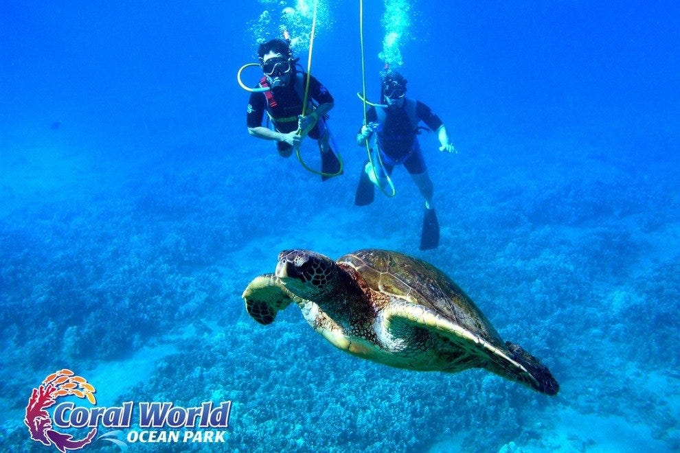 Coral World Ocean Park: U.S. Virgin Islands Attractions Review - 10Best ...