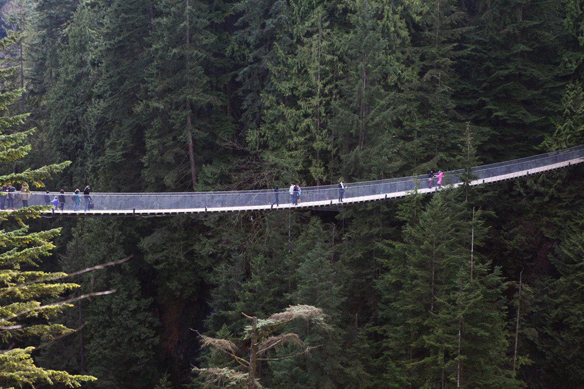 10 Most Terrifying Foot Bridges