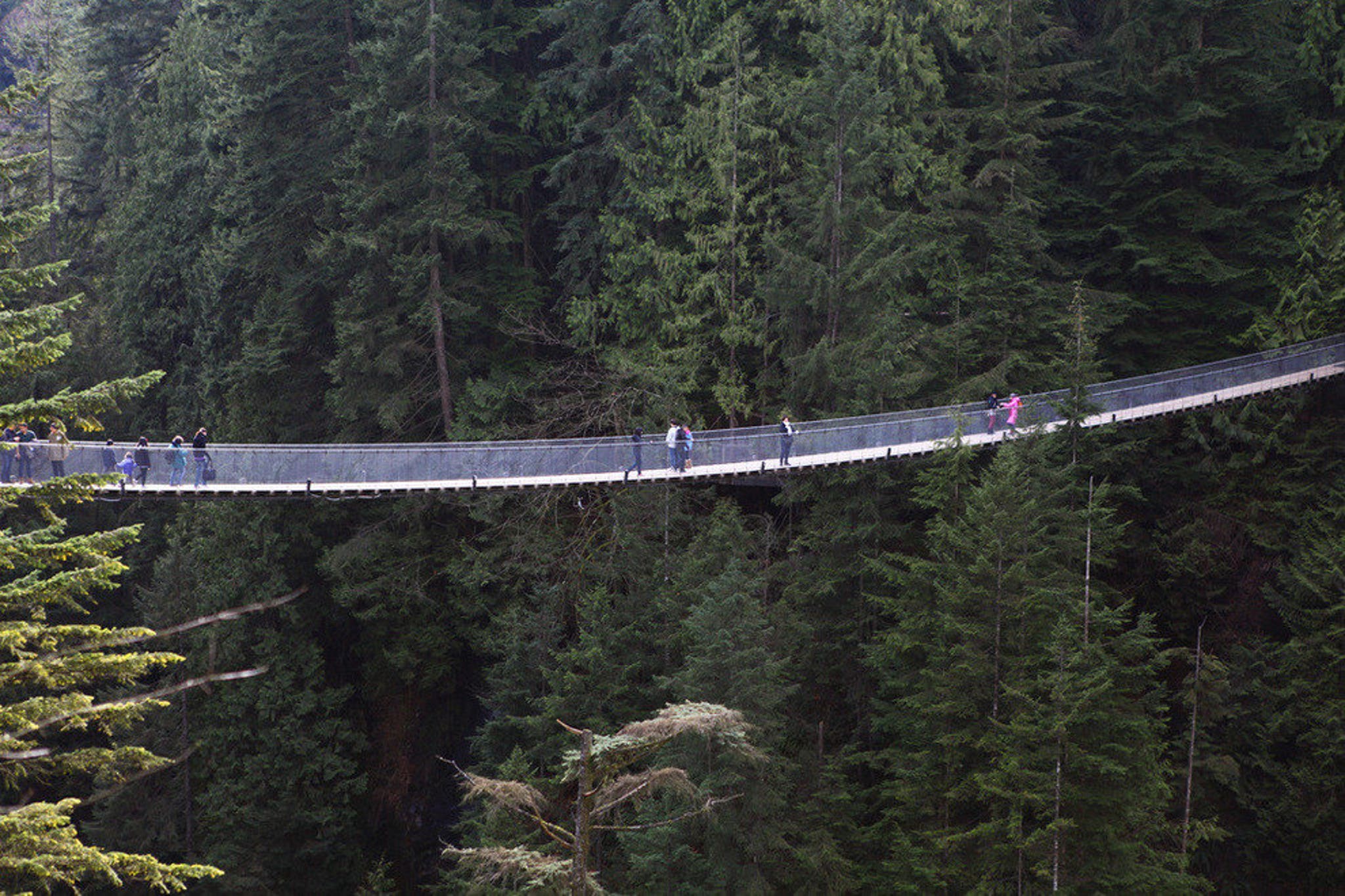 10 Most Terrifying Foot Bridges