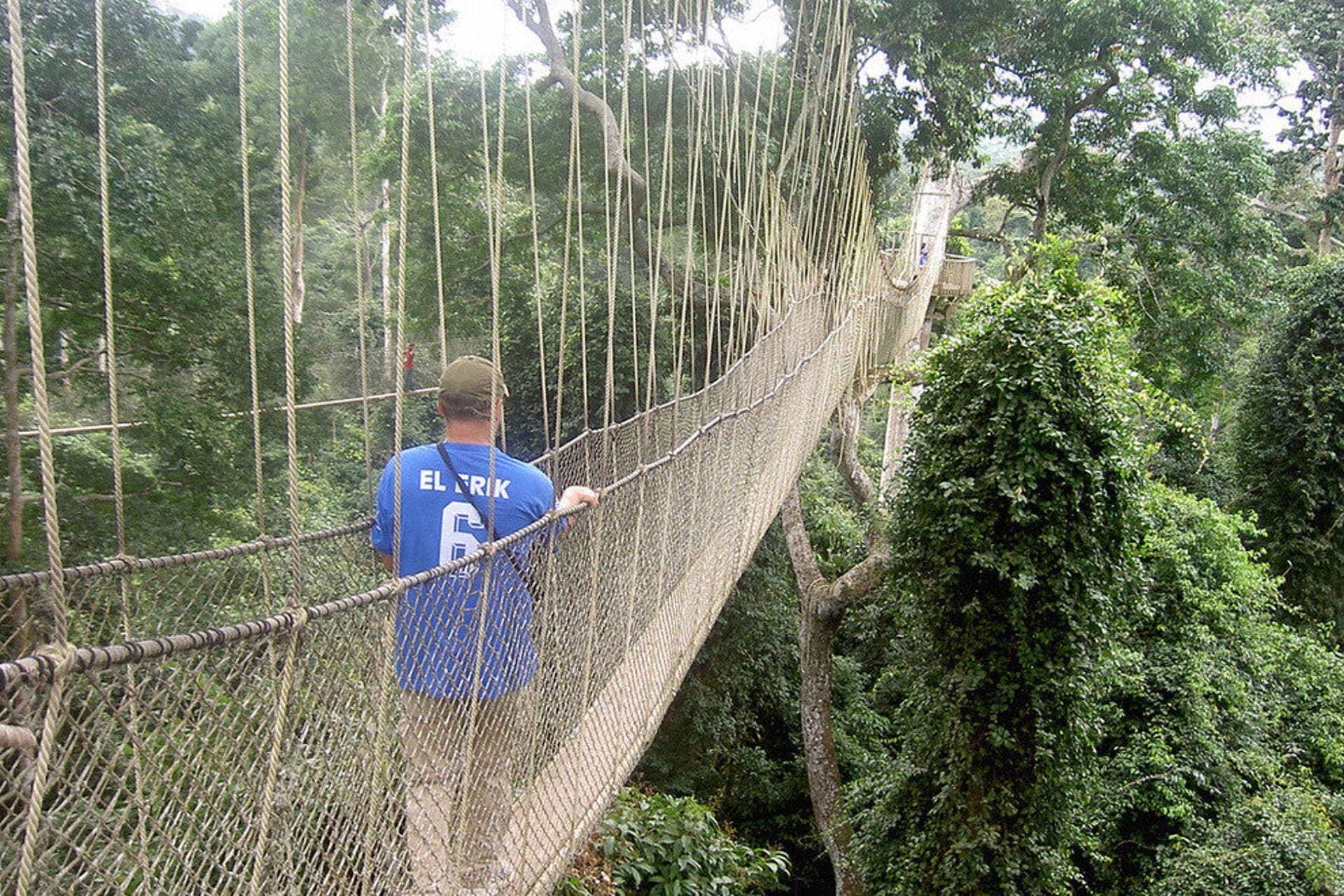 10 Most Terrifying Foot Bridges