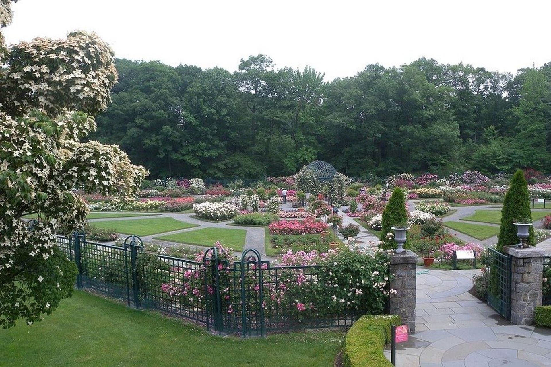 10Best Beautiful Rose Gardens