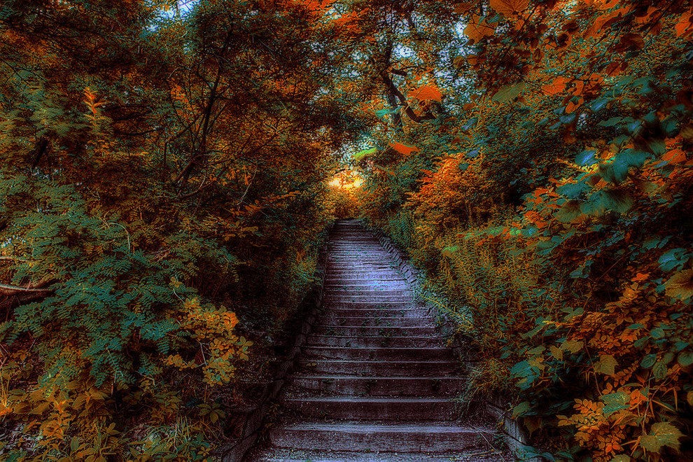 High Park: Toronto Attractions Review - 10Best Experts and Tourist Reviews