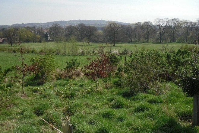 Cammo庄园公园是爱丁堡最好的事情之一