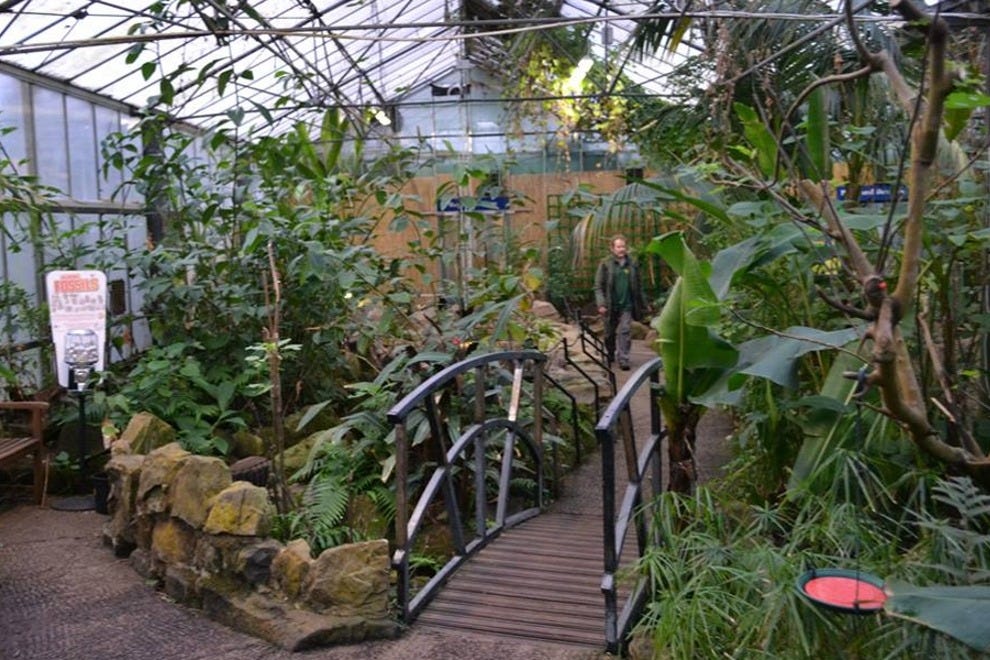 Butterfly and Insect World: Edinburgh Attractions Review - 10Best ...