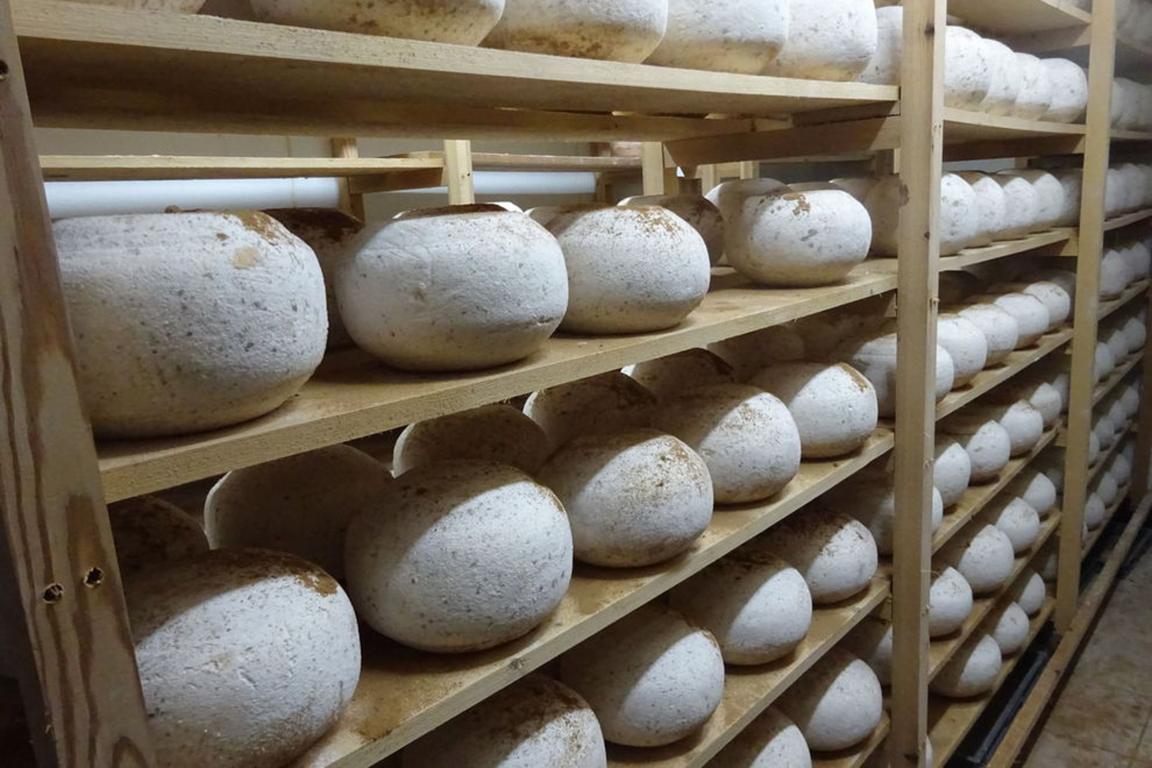 Was Mimolette invented to spite the Dutch?