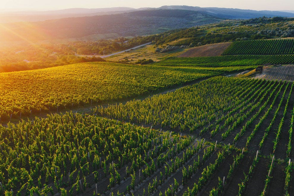 10 Wineries In Moldova That You Need To Visit 10 Wineries In Moldova That You Need To Visit