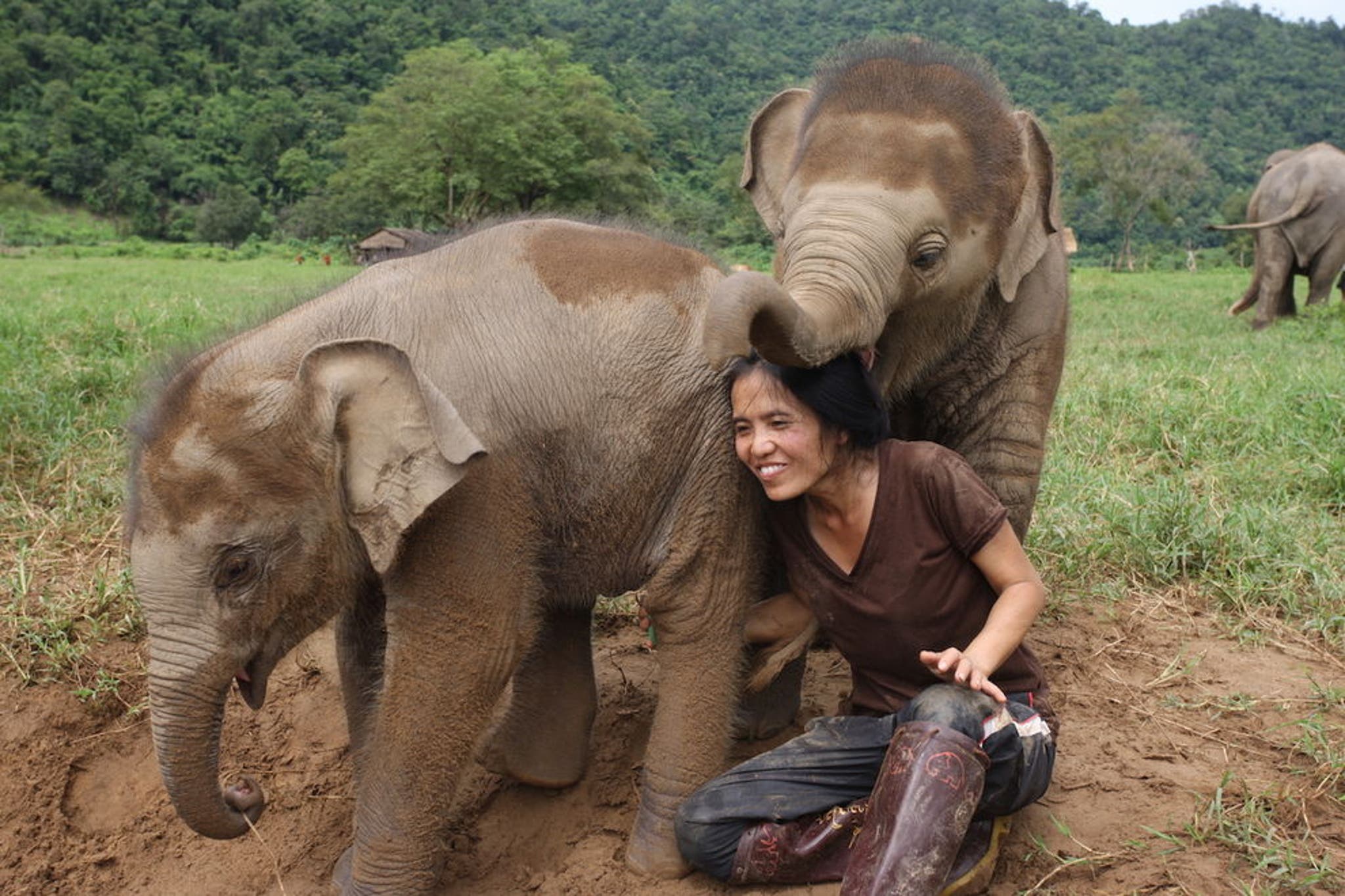 10 ethical places you need to go to interact with elephants