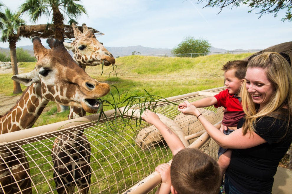 Vote - The Living Desert Zoo and Gardens - Best Zoo Nominee: 2019 ...