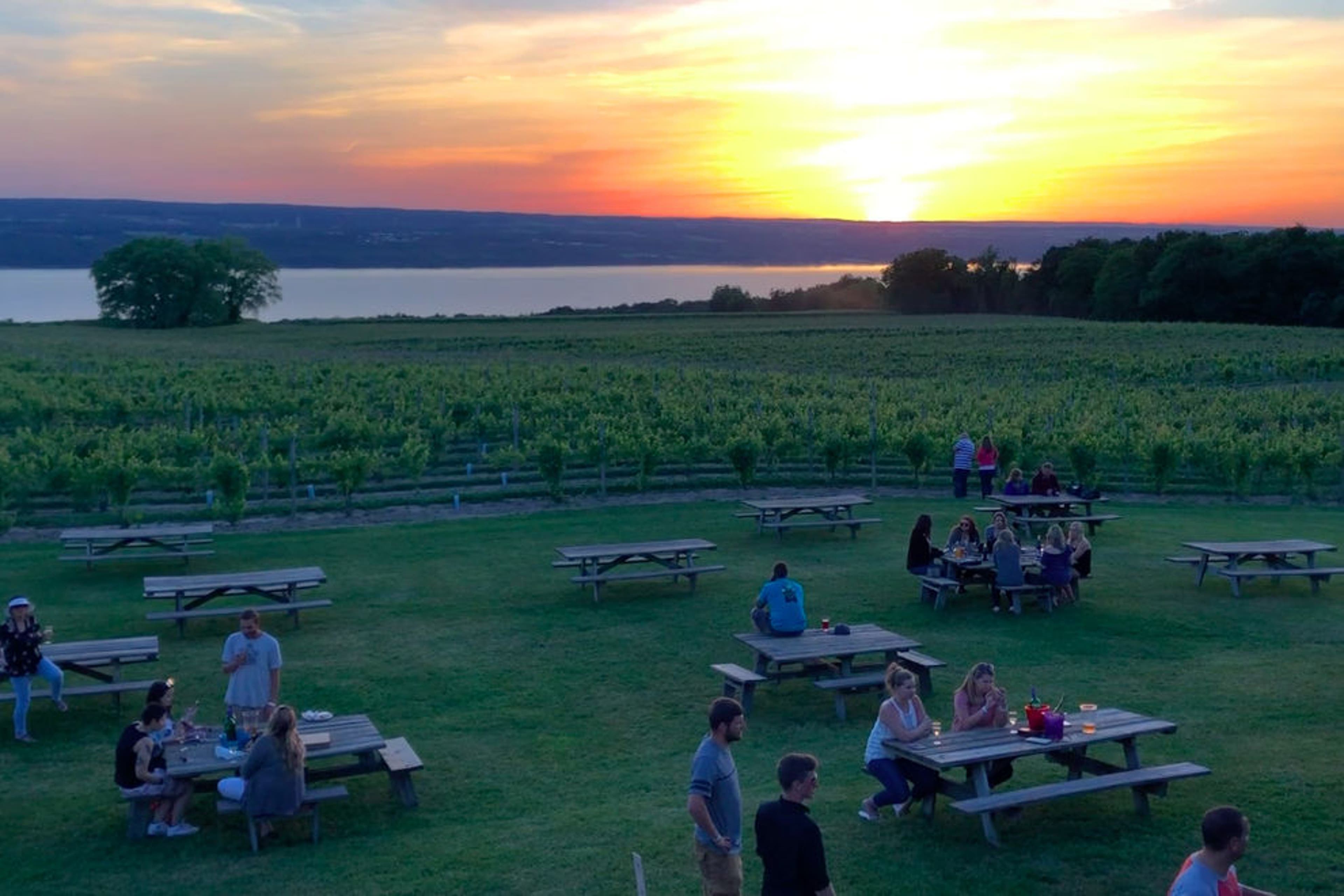 Get a crash course in terroir at the Finger Lakes Wine Country