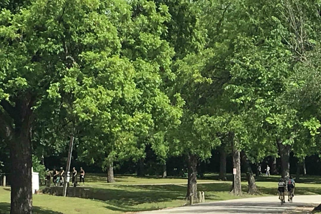 10 Best Parks in Dallas, TX - USA TODAY 10Best