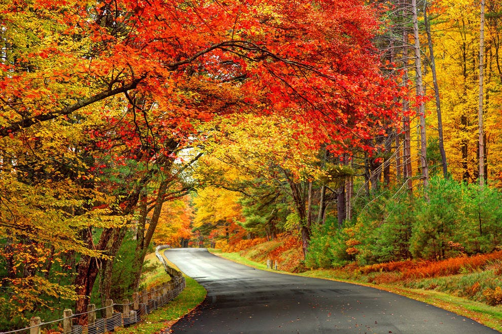 Vote Best Destination For Fall Foliage Nominees 2019 10Best Readers Vote Best Destination For Fall Foliage Nominees 2019 10Best Readers