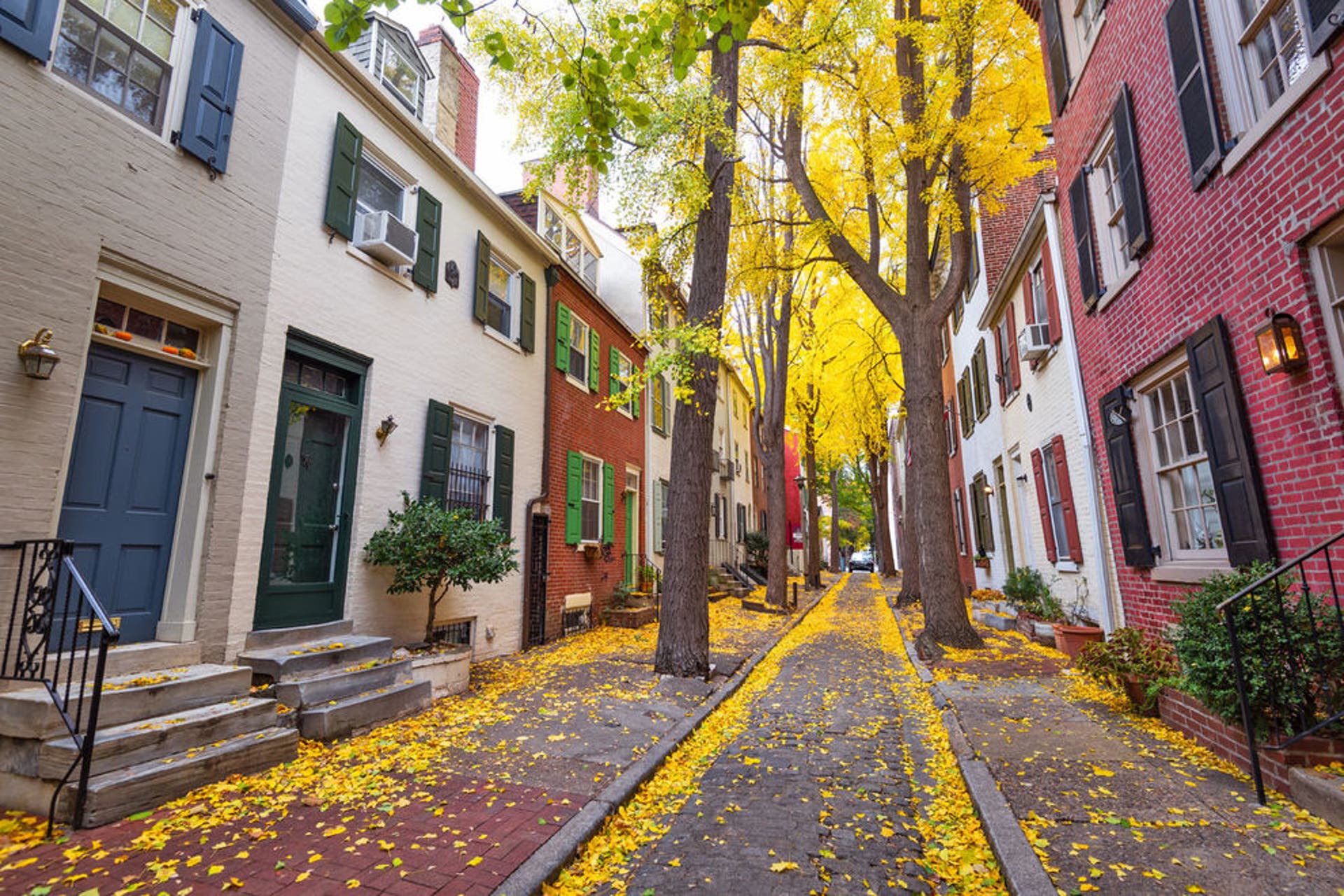 10 beautiful alleys around the world
