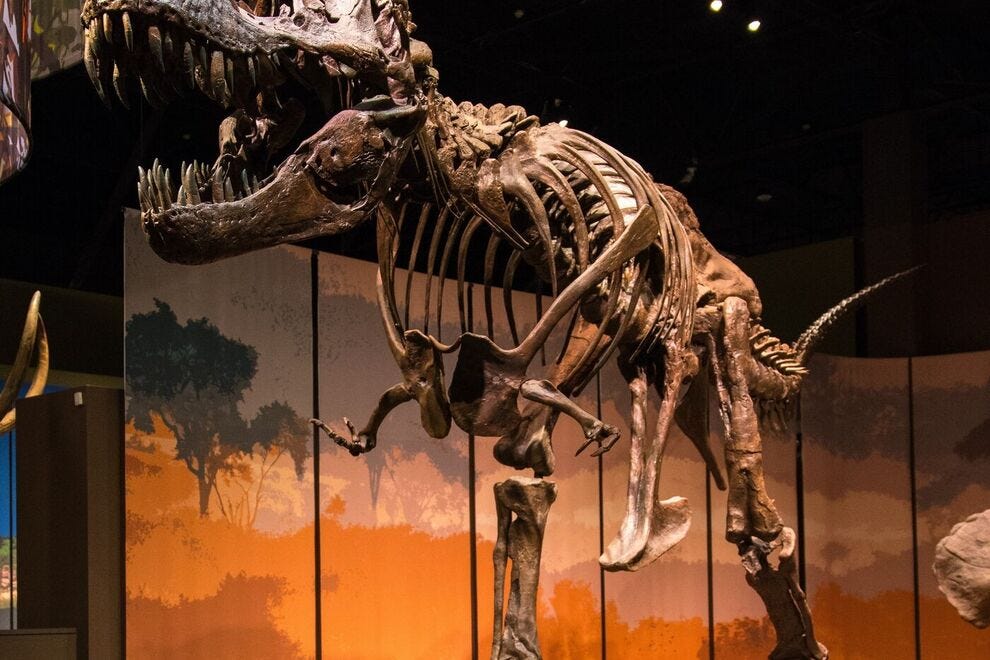 Tellus Science Museum: 2026 USA TODAY 10BEST Readers' Choice Awards