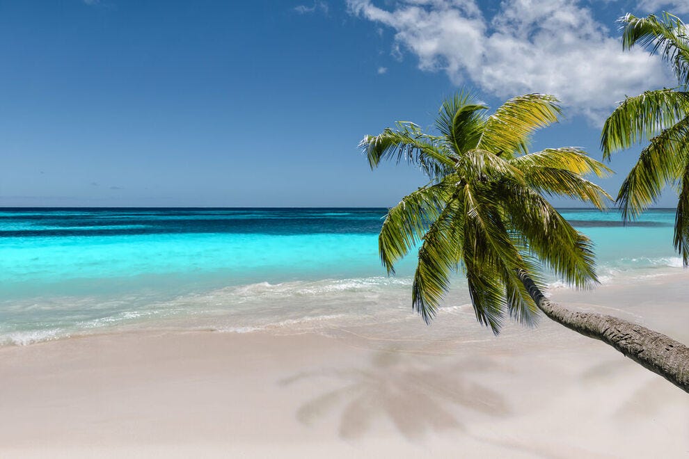 Bankie Banx's Dune Preserve