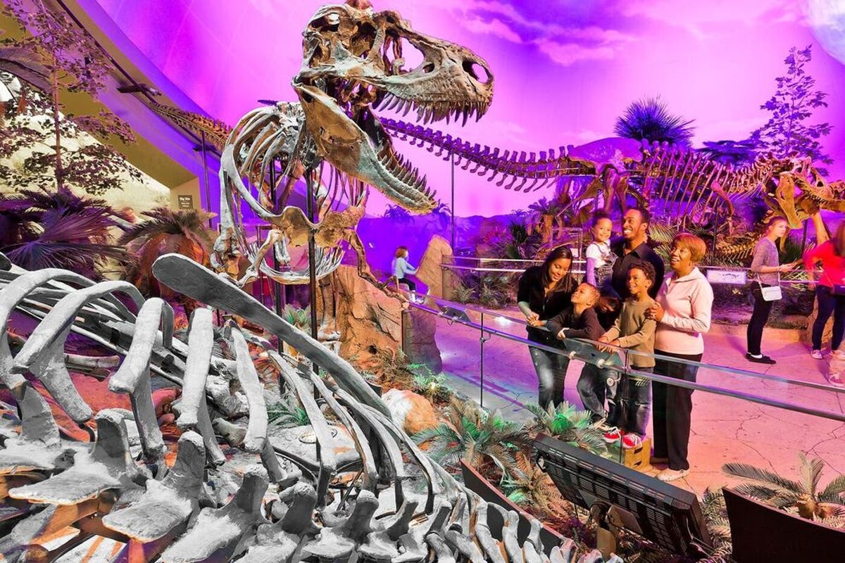 10 best science museums in the US for curious minds