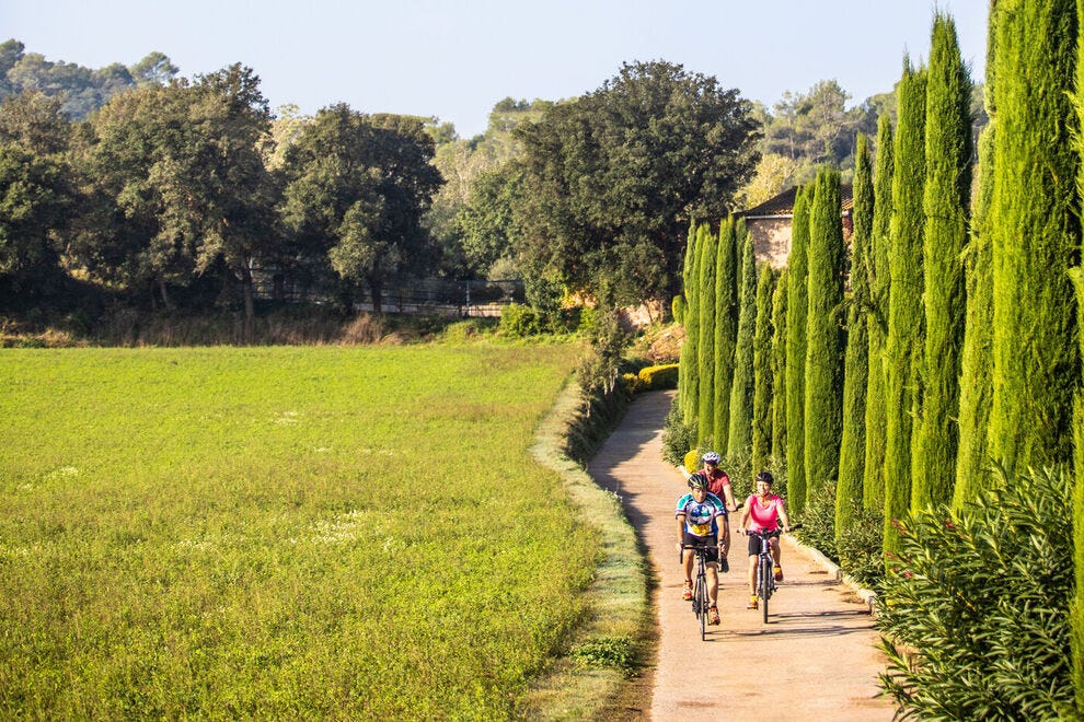 Best Cycling Tour Winners 2022 USA TODAY 10Best best-cycling-tour-winners-2022-usa-today-10best