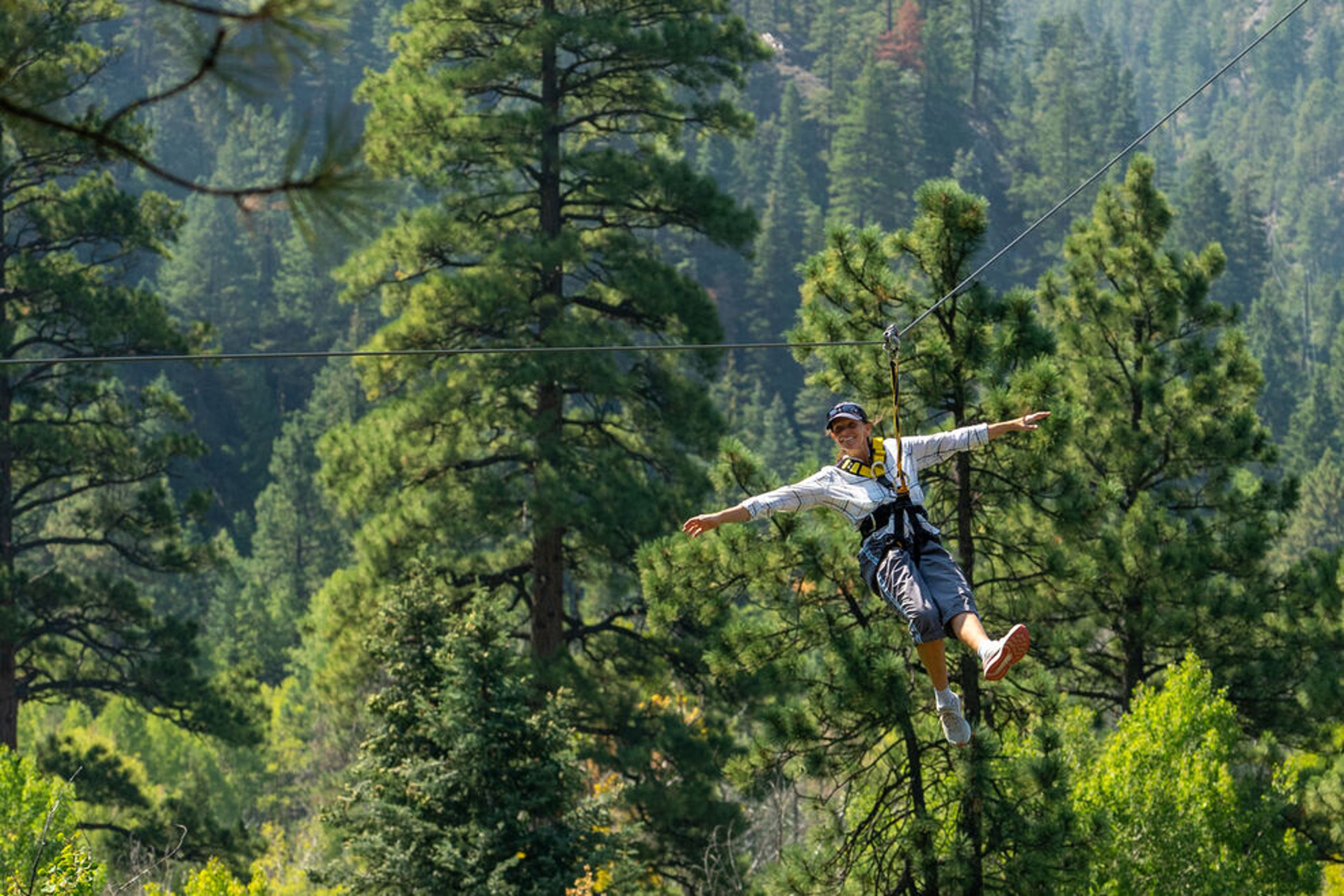 tree top adventures for adults