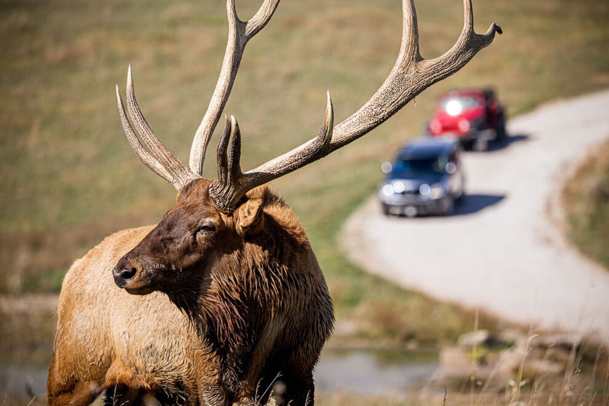 What is the Best Safari Park for 2026?