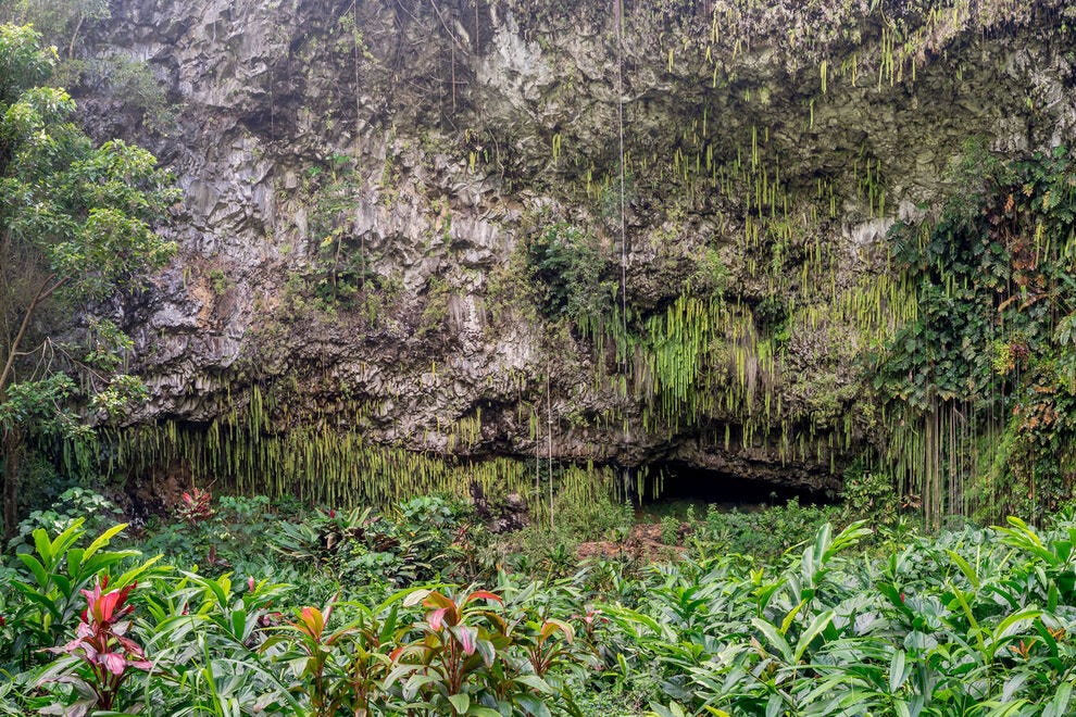 Fern Grotto: 2023 USA TODAY 10BEST Readers' Choice Awards
