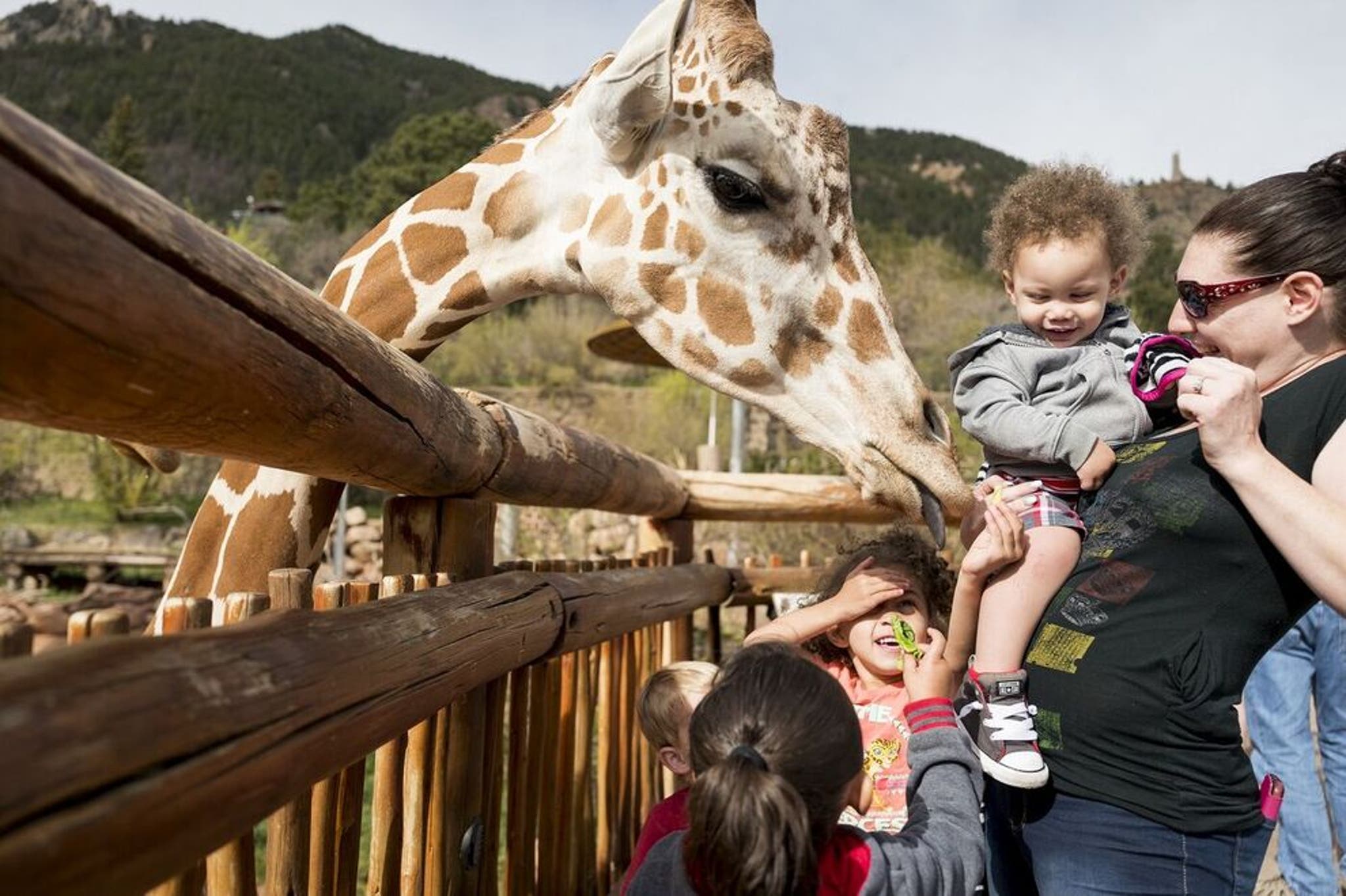 10 best zoos across the United States in 2025