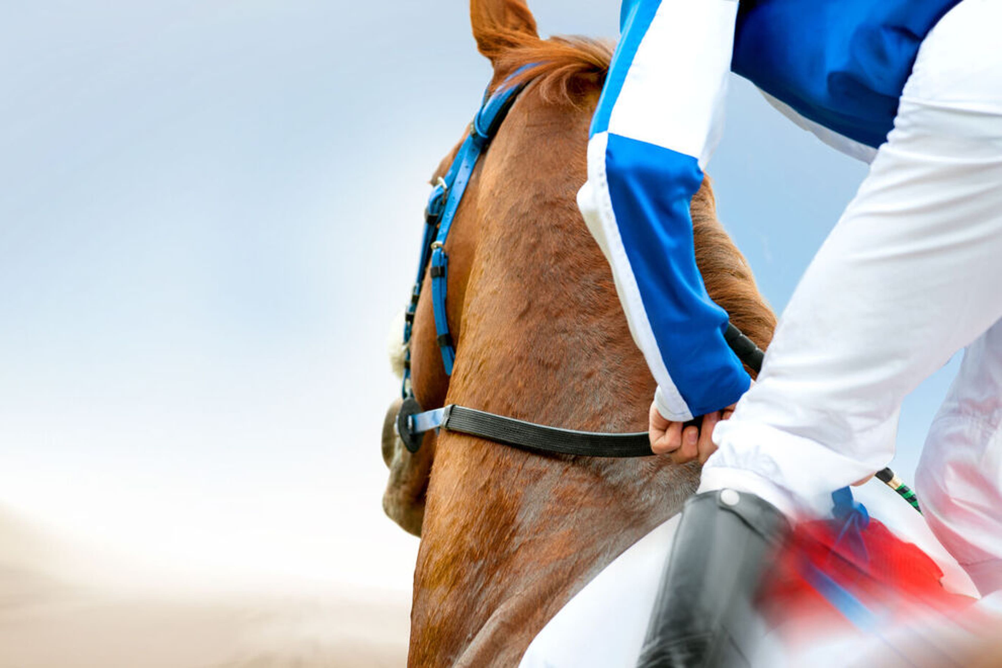 Ruidoso Downs Race Track