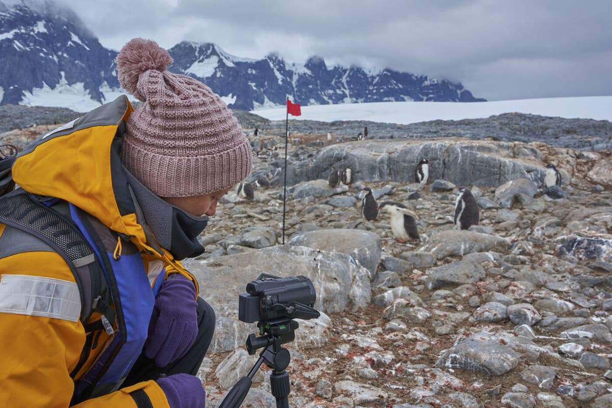 Contribute to science and visit amazing places on these 10 expeditions