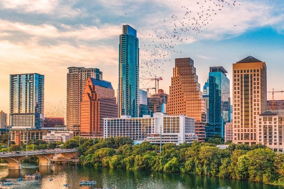Bats under Congress Bridge