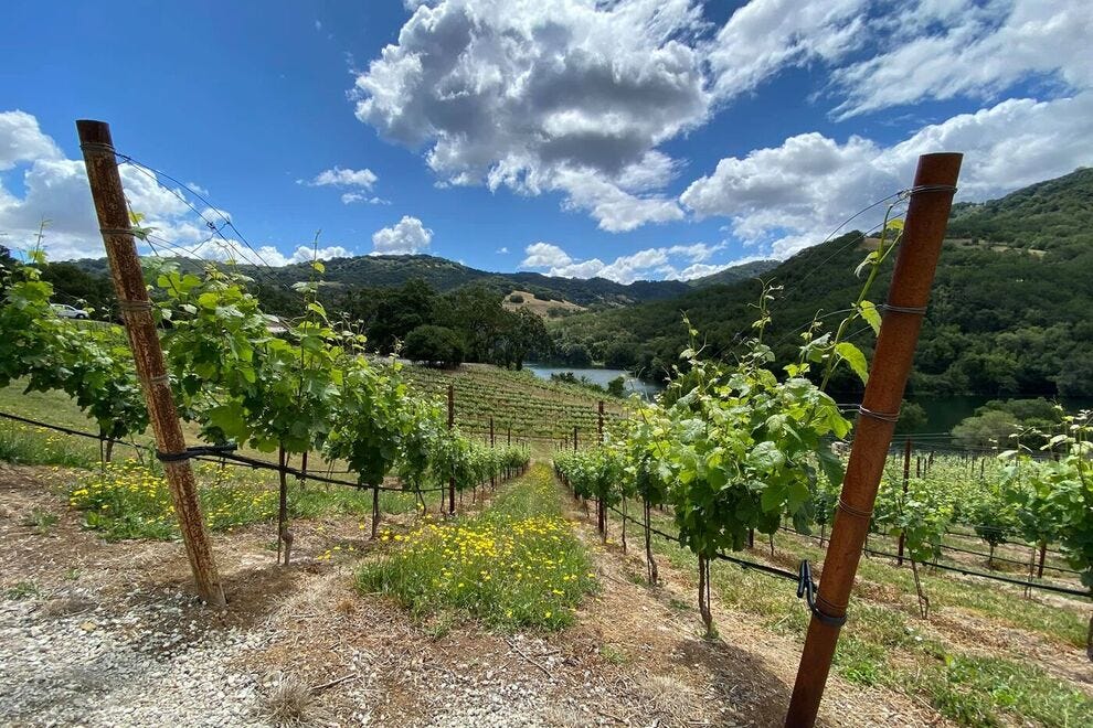 10 best new winery experiences across the nation