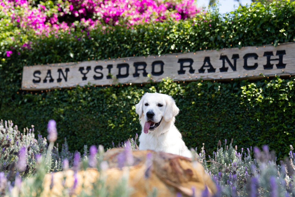 San Ysidro Ranch