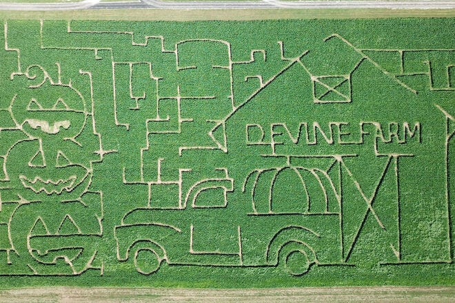 10 best corn mazes in the US you won't want to miss this fall