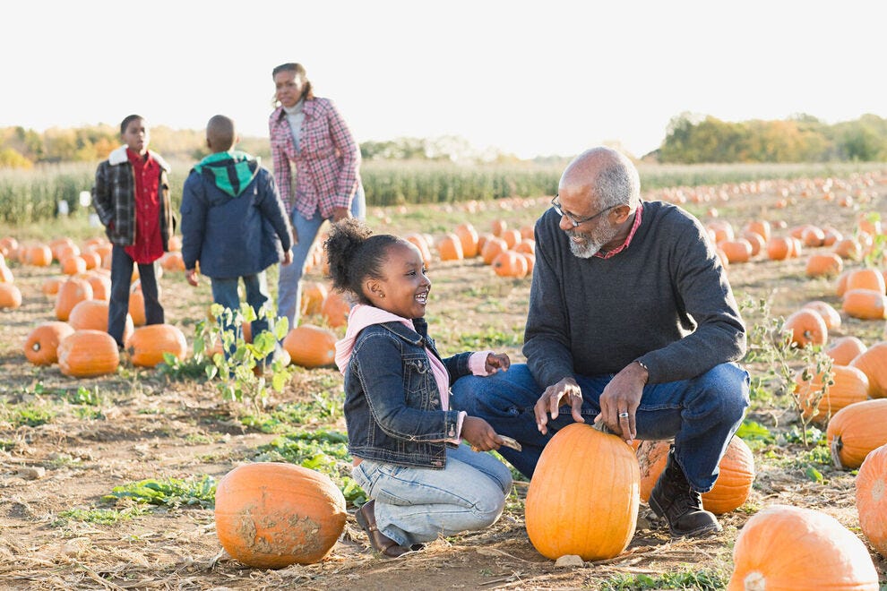 10 best pumpkin patches in the US for picking pumpkins