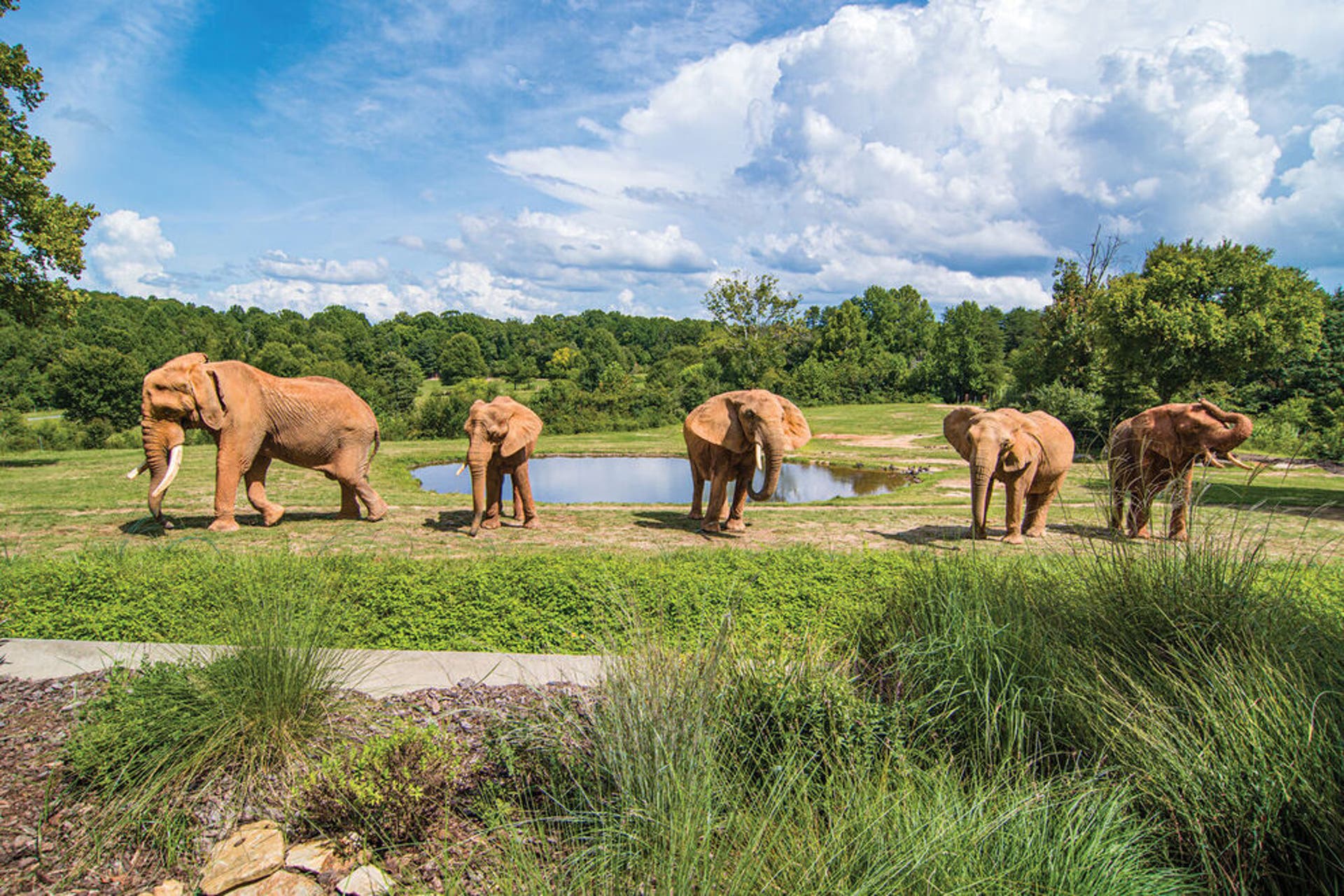 10 best zoos across the United States in 2025