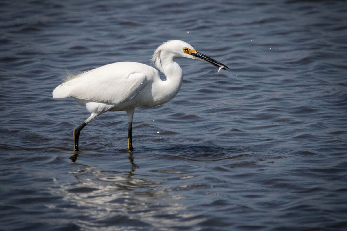10 best national wildlife refuges across the US