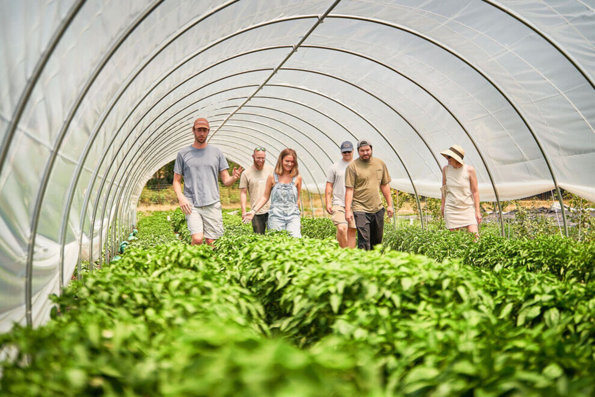10 fantastic farm stays where you can embrace nature and agriculture