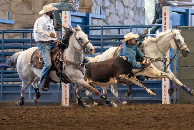 10 best rodeos across the United States for 2025