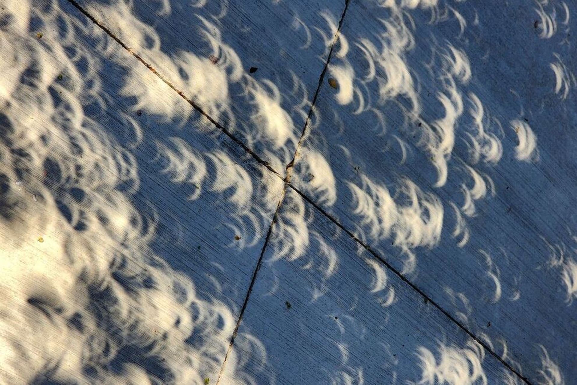 No eclipse glasses? Try these DIY tips to safely view the eclipse