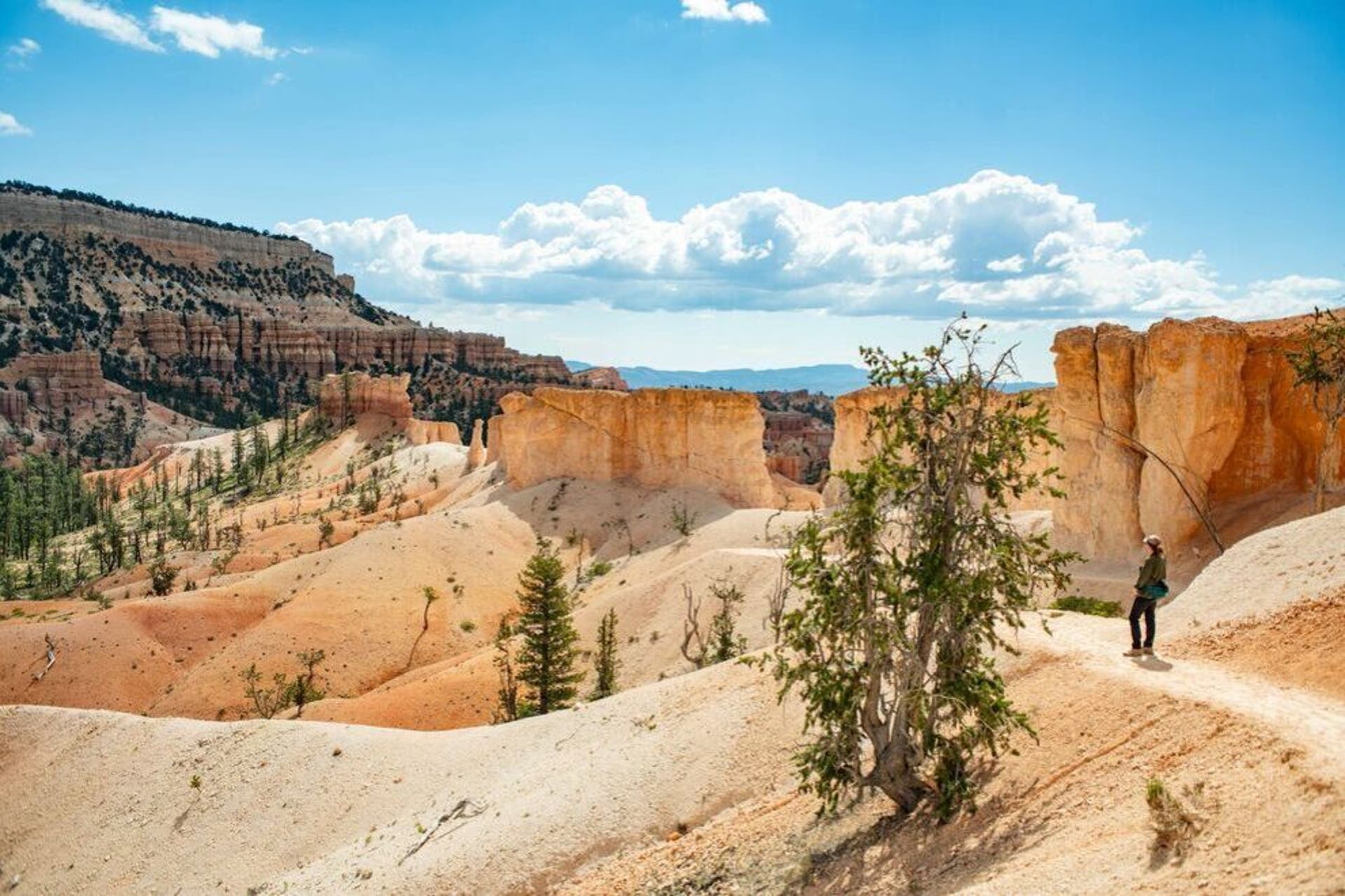 Hikers of all levels will enjoy these 10 hiking trails