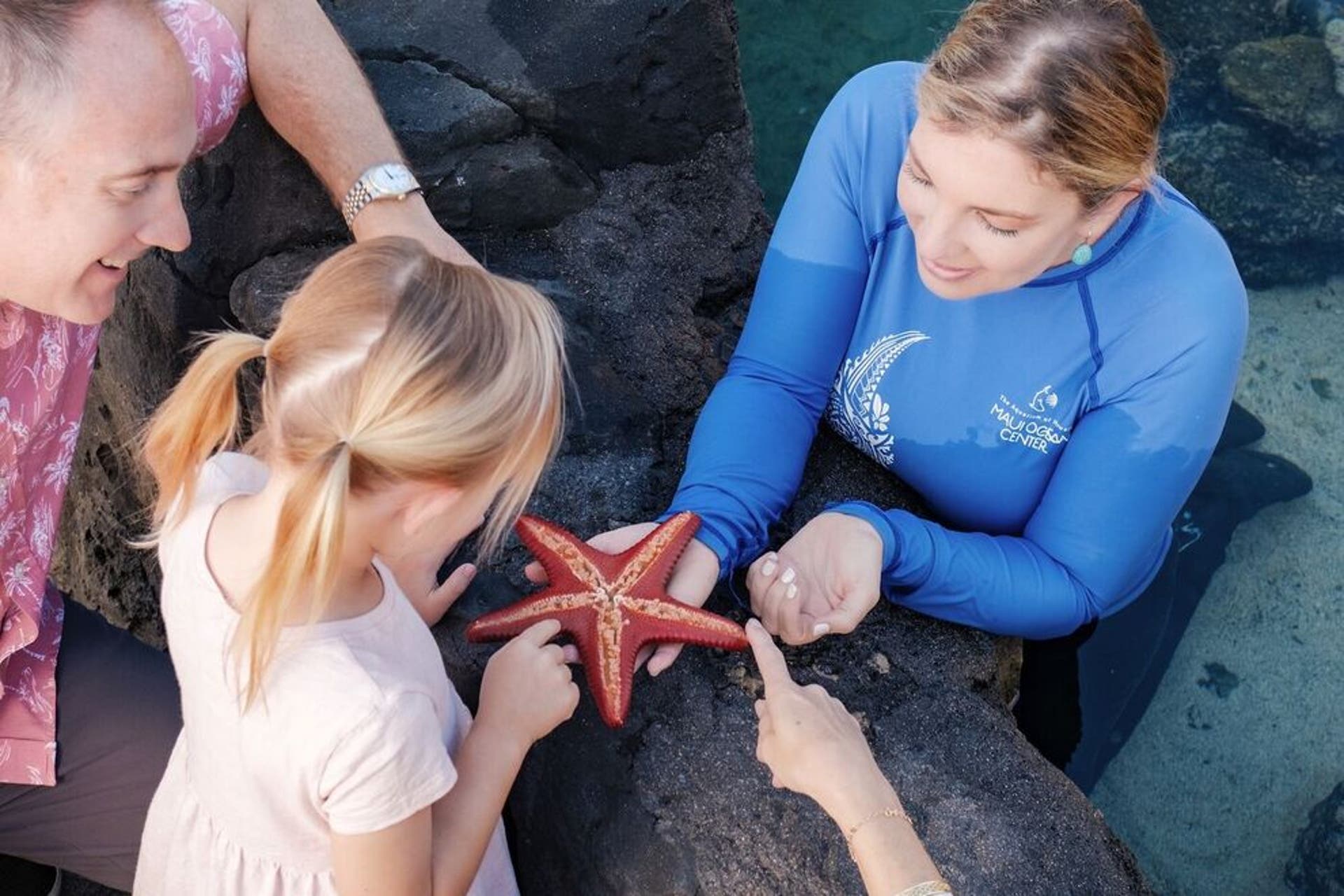 Dive into aquatic marvels at the 10 best aquariums in the US