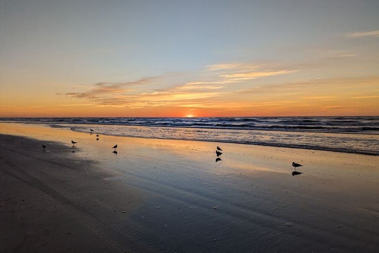 10 best beaches in Texas: Explore the state's coastal gems