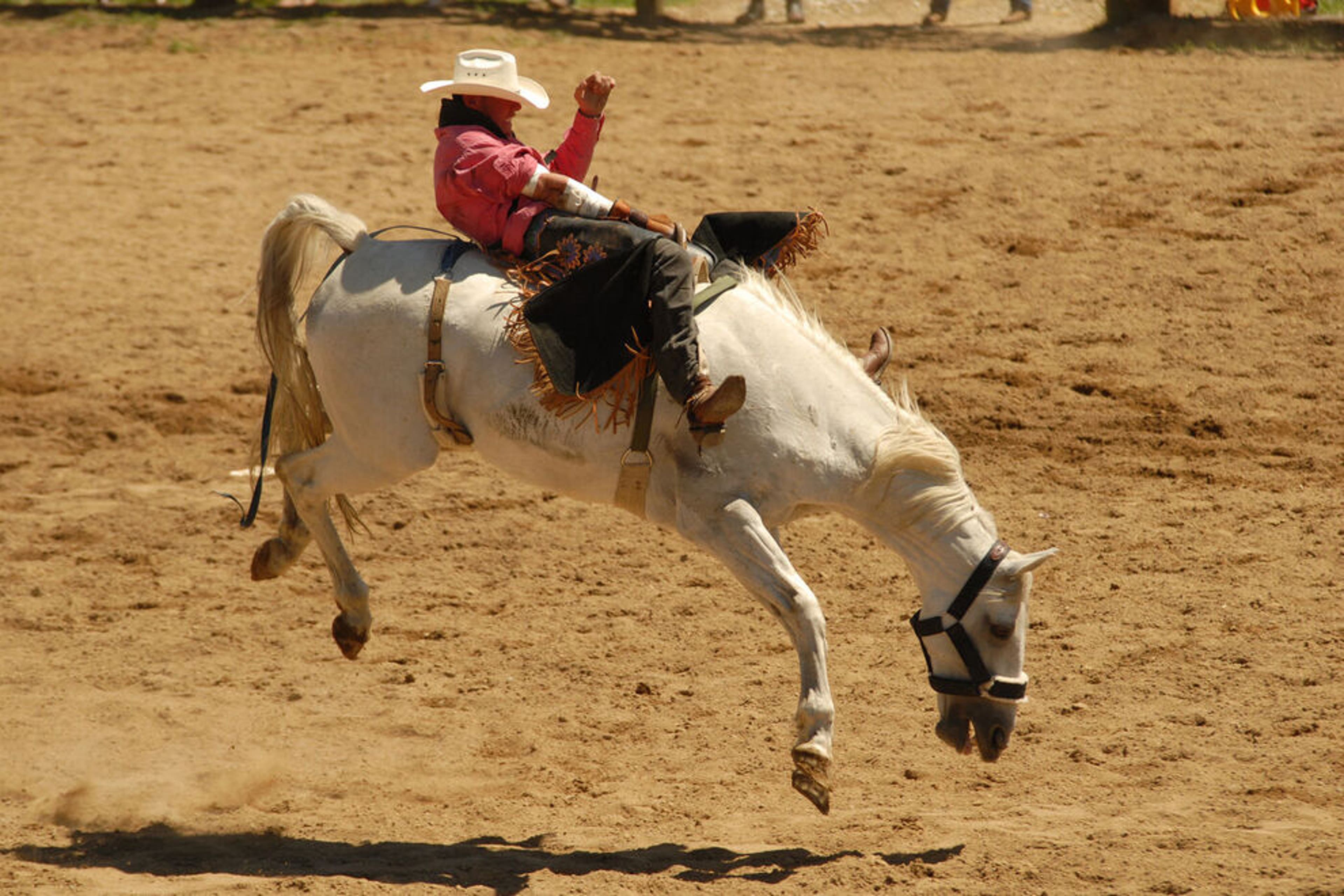 California Rodeo Salinas