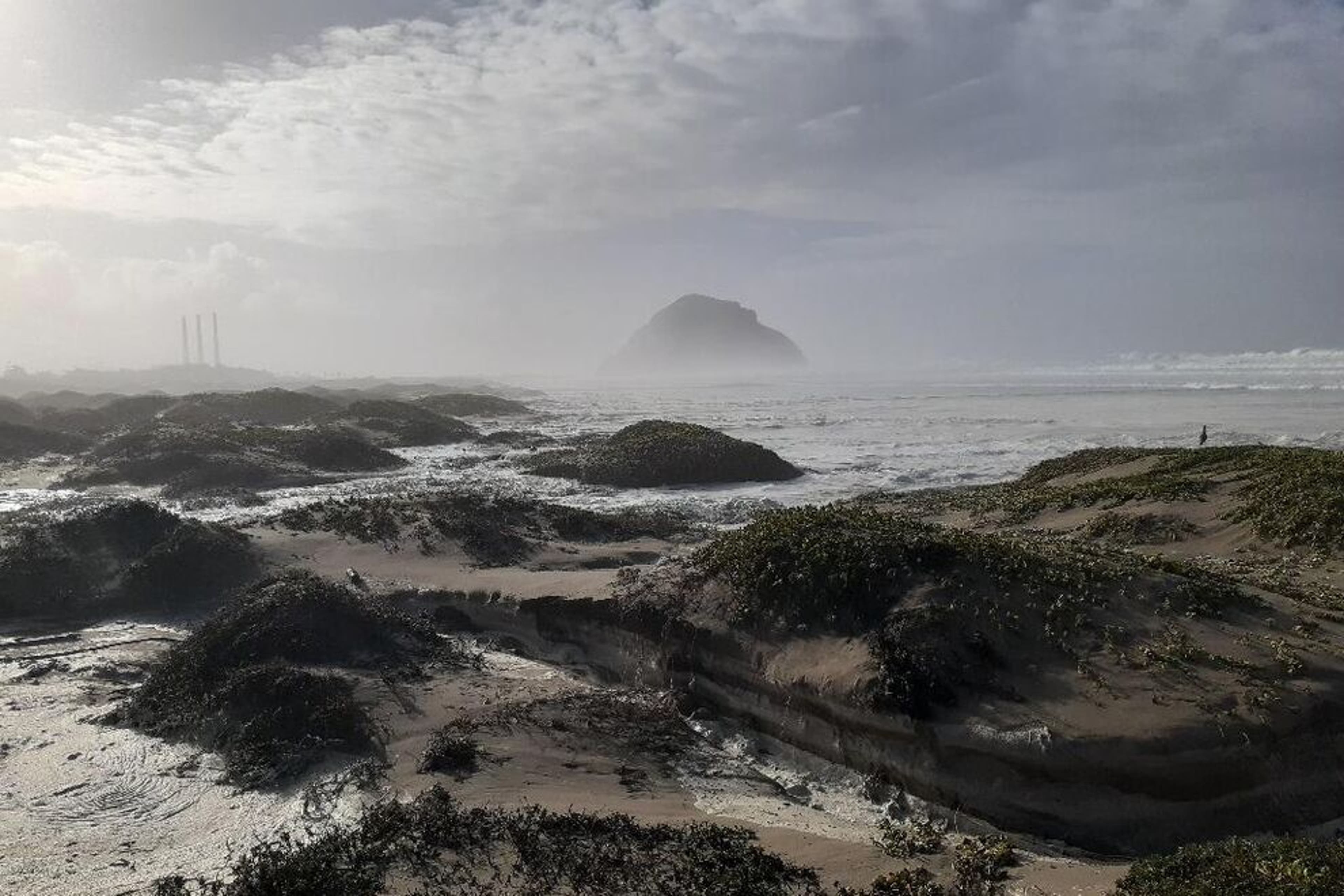 Morro Strand State Beach