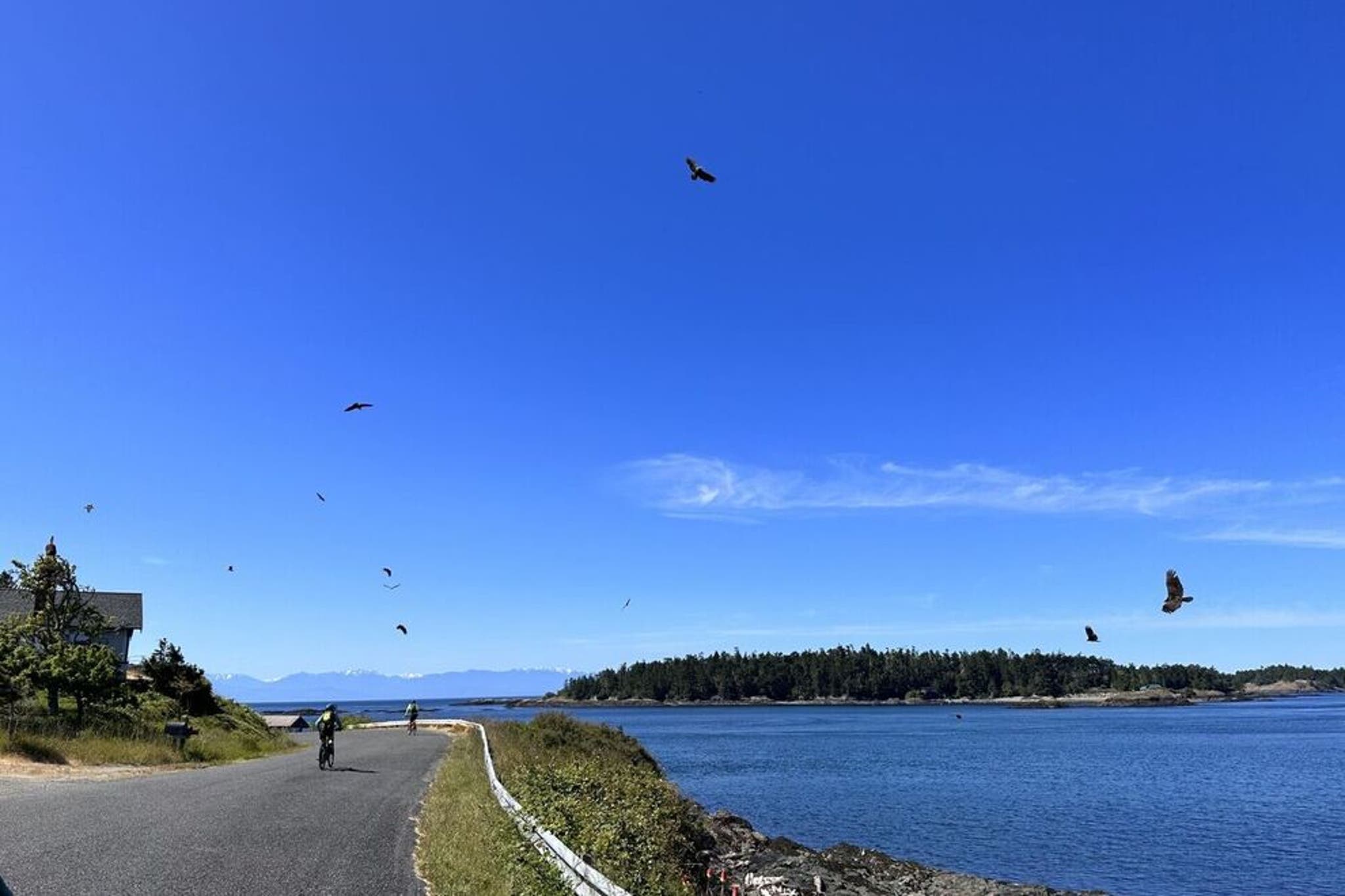 Meet the 10 best bike tour operators for your next journey