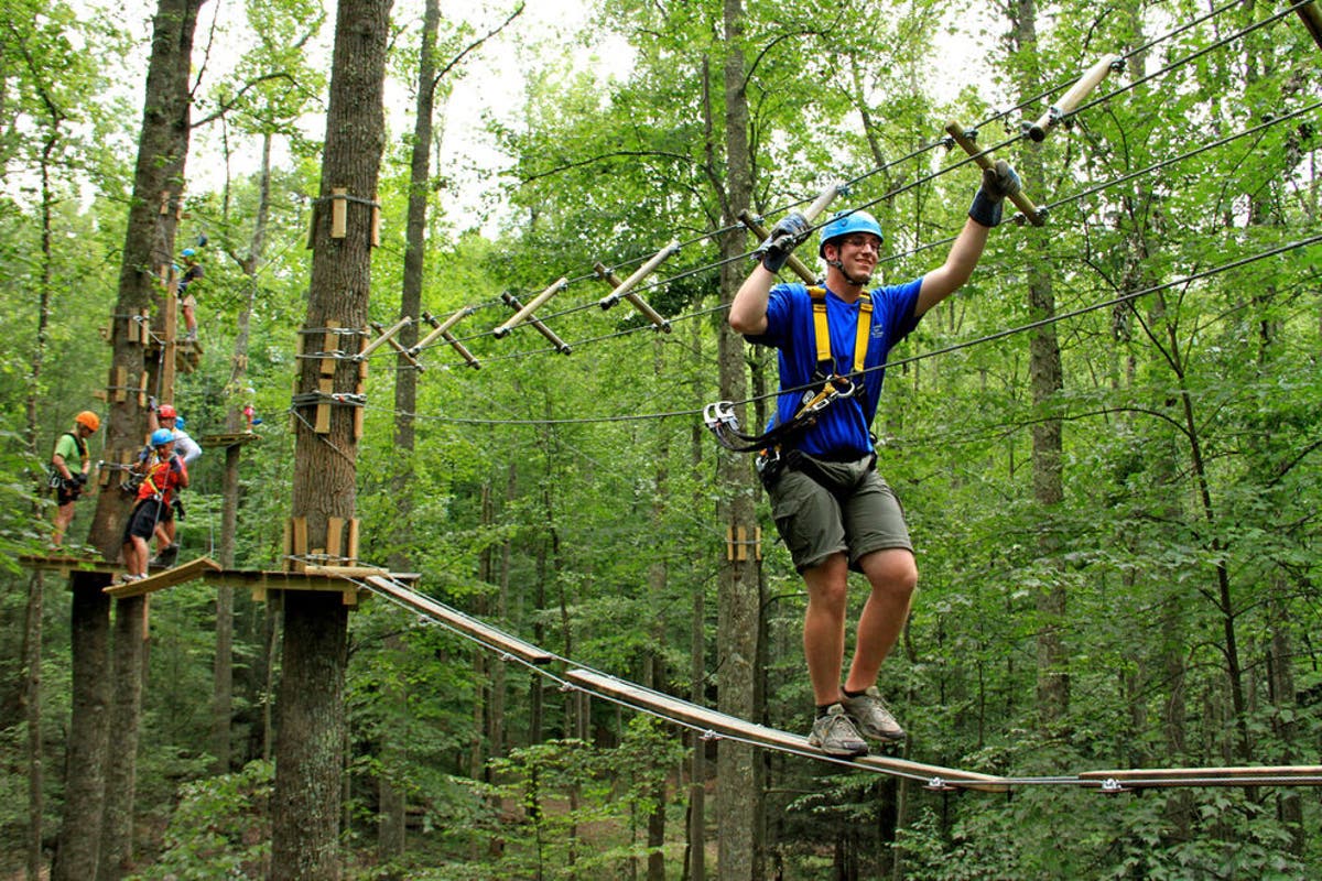 What is the Best Aerial Adventure Park for 2026?