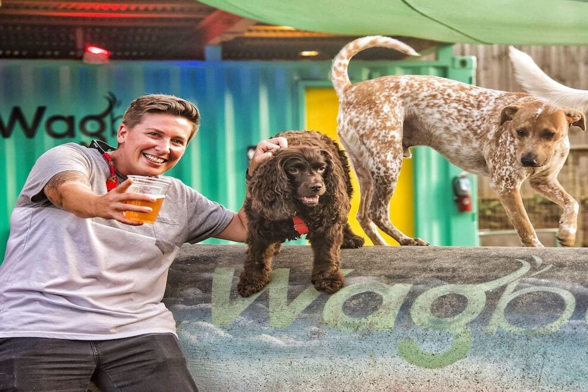 10 best places to sip with your pup: Top dog bars in the US