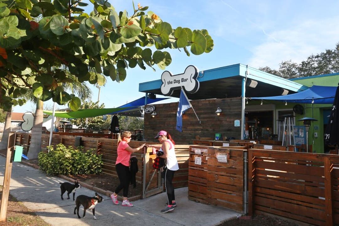 10 best places to sip with your pup: Top dog bars in the US