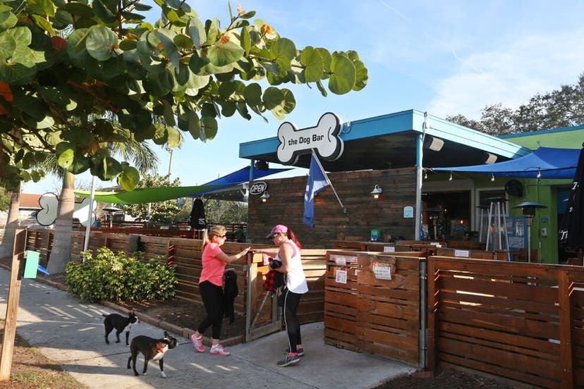 10 best places to sip with your pup: Top dog bars in the US