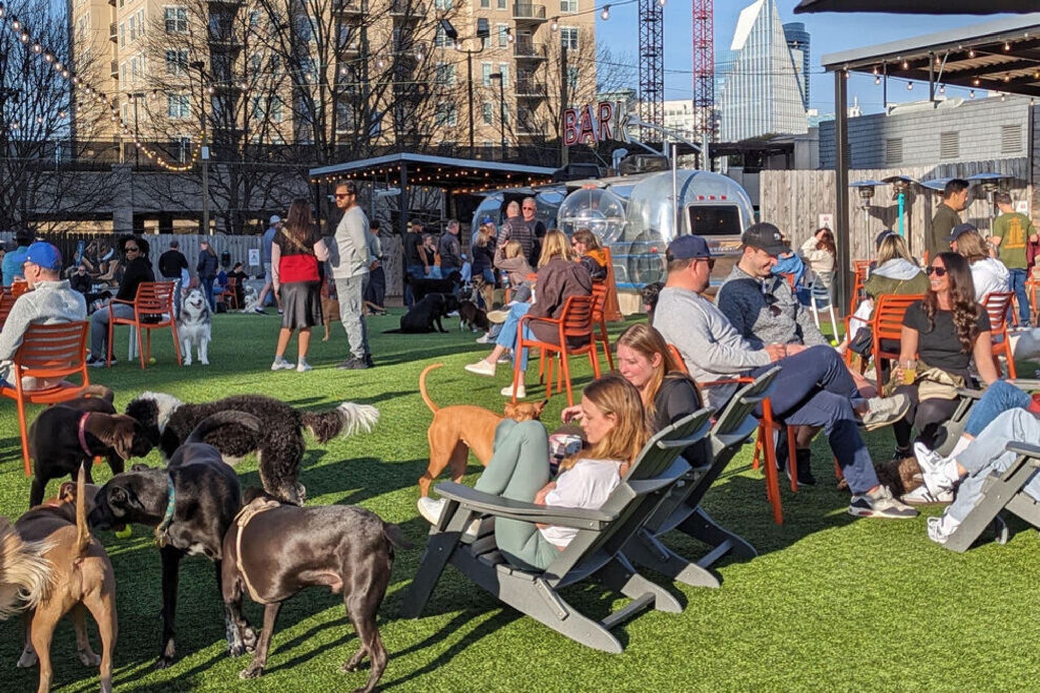 10 best places to sip with your pup: Top dog bars in the US